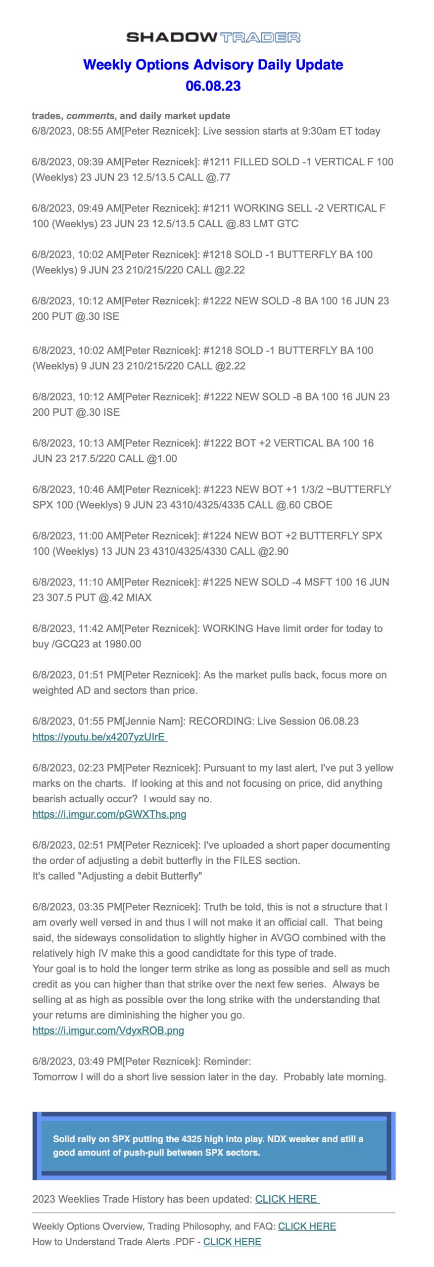 Weekly Options Advisory – Shadow Trader